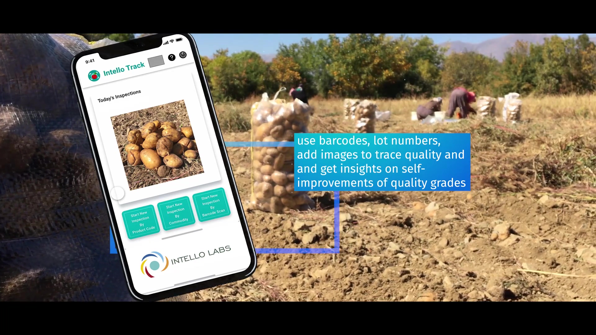 Intellolabs | Digitizing quality | Automating sorting packing | Fresh ...