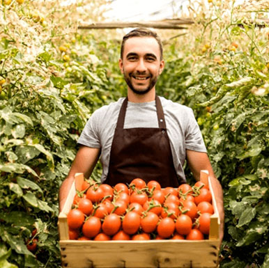 Intellolabs | Digitizing quality across fresh produce supply chains